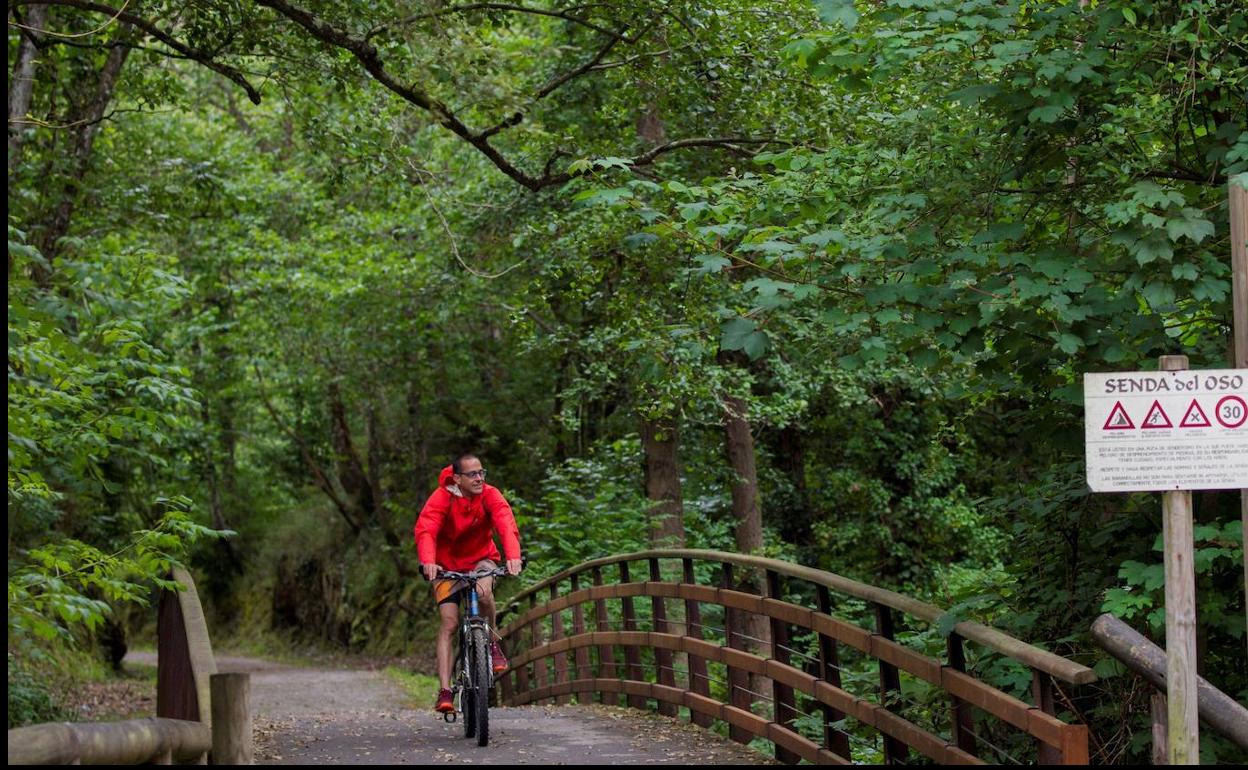Descubre las rutas en bicicleta por los paisajes de Asturias: ¡Vive una ...